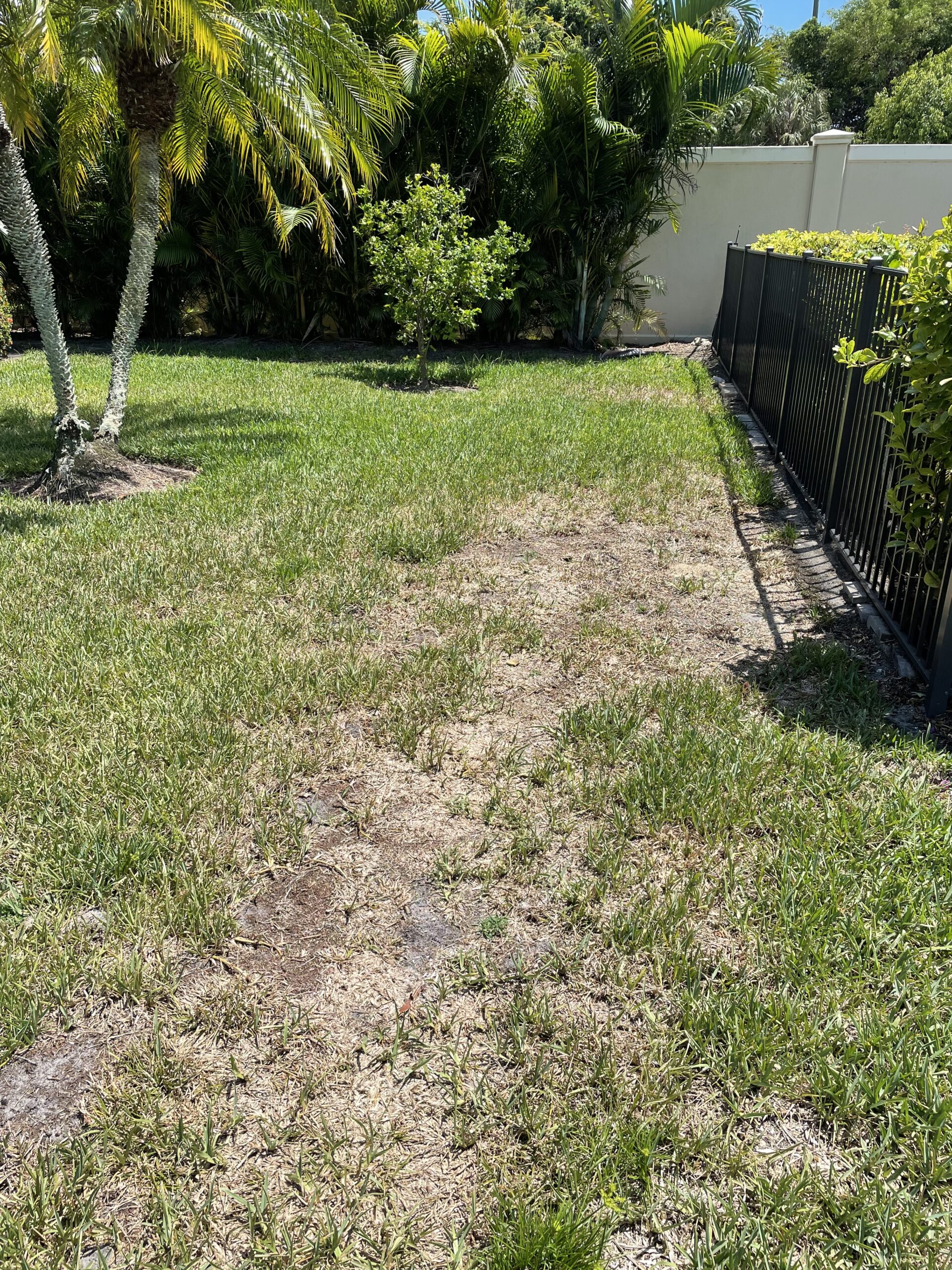 Nosey Neighbor: Your Naples Home Watch Expert Solution